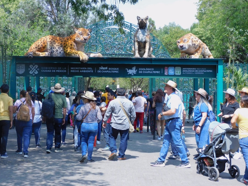 Gracias a su calidad y eficiencia, nuestro Zoológico de Chapultepec se ...