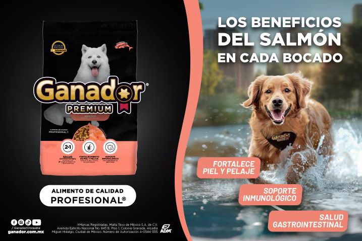 Ganador Premium presenta su alimento para perros adultos con proteína de salmón. - El Publicista